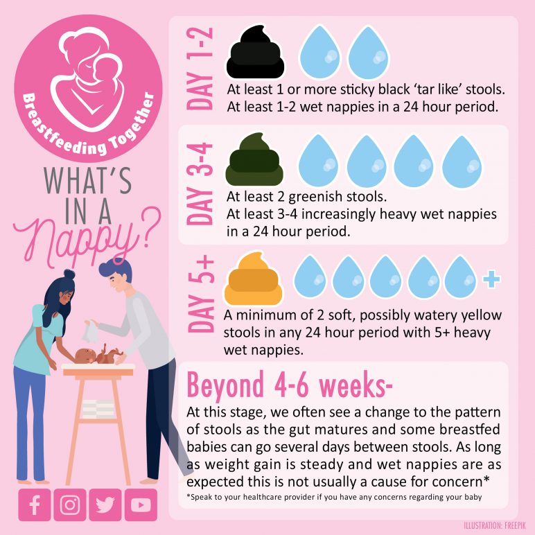 What’s in a Nappy? | Breastfeeding Together